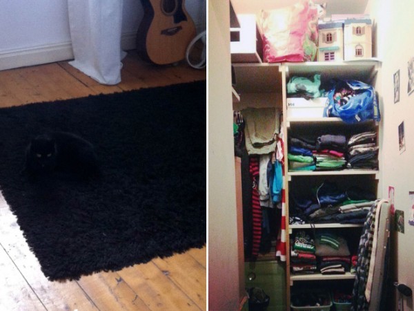 Suchbilder mit Katzen: Wo ist die Katze? Da ist sie! - SLEAZEMAG